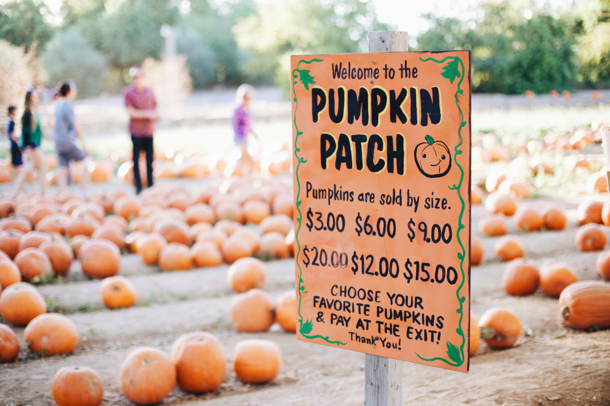 How to Style Boots for Fall with Clark's - New Darlings